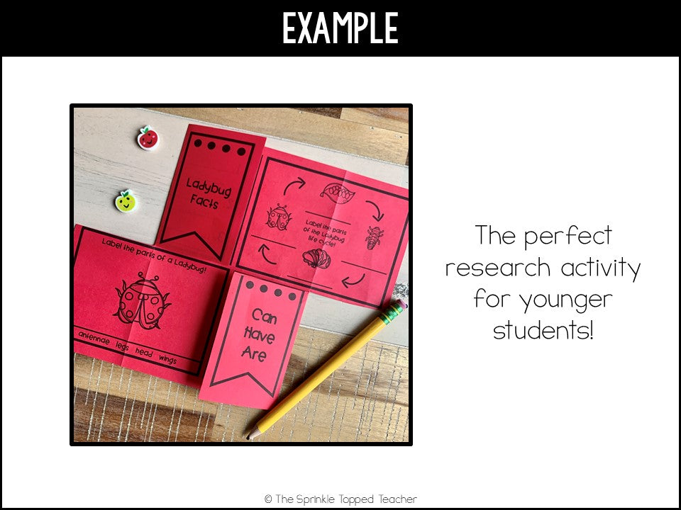 Life Cycles Bundle - Frogs, Butterflies, Chickens, Ladybugs, Plants, G ...